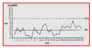 What Is An Np CHART DataMyte