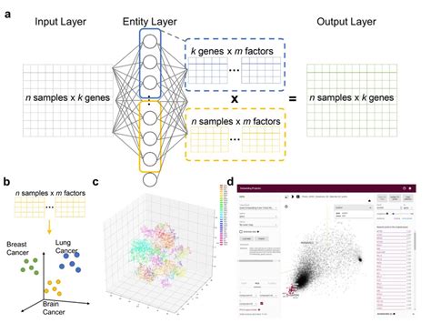 Overview Of Embedding System From A Large Gene Expression Dataset Download Scientific Diagram