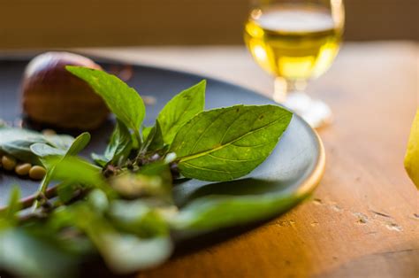 이탈리아 파스타 소스레몬 바 질 어린 준비에 대 한 신선한 재료 삼나무 견과류 큰 마늘 정 향 그리스 올리브 기름 파 르 메 산