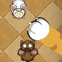 Tap The Rat Play Tap The Rat Game On Yiv Com
