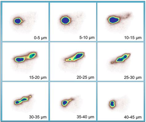 Pseudo White Beam Diffraction Patterns Calculated By Summing The Download Scientific Diagram