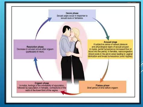 The Physical And Sexual Self PPTX