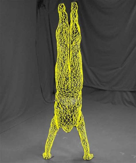 Motion Capture Using Joint Skeleton Tracking And Surface Estimation