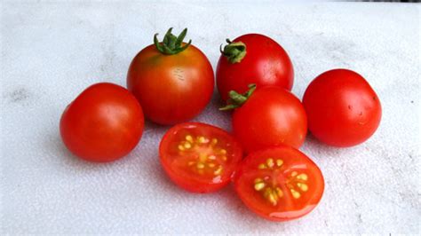 БОНСАЙ | hrseeds