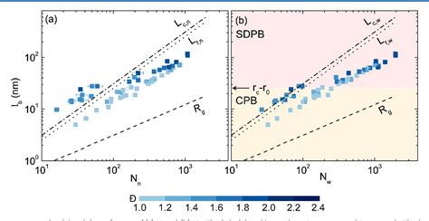 Figure 2 From Effect Of Dispersity On The Conformation Of Spherical