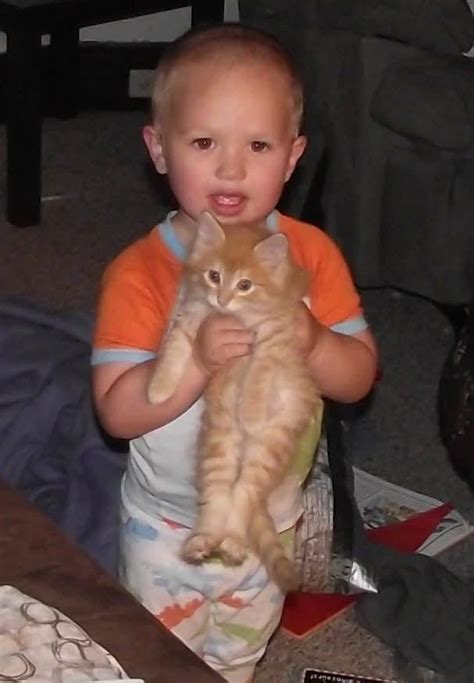 Assassin Kitty Cattery Added A Assassin Kitty Cattery