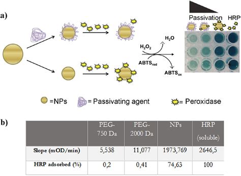 Passivation Of Mnps Surface A Schematic Diagram Showing The Download Scientific Diagram