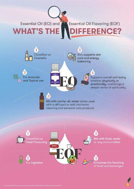 Eo And Eof Whats The Difference