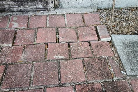 Algorithms 101 Level Patio In Javascript By Joan Indiana Lyness