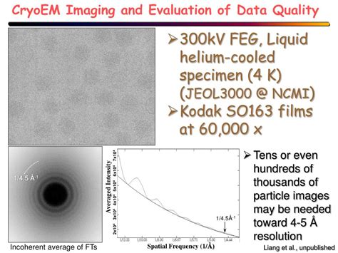 PPT Building Partial Atomic Model Of CPV From CryoEM Maps PowerPoint Presentation ID