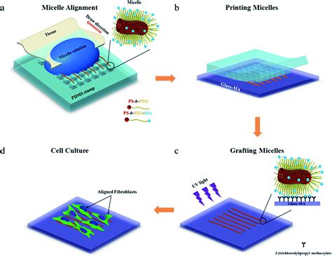 A Nano Fibrous Platform Of Copolymer Patterned Surfaces For Controlled