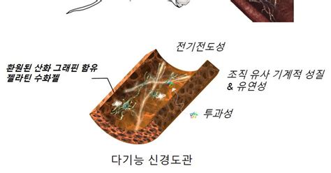 Gist 단국대 말초 신경 재생 그래핀 기반 전도성 수화젤 신경도관 개발