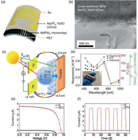 9 A Schematic Illustration B Sem Image Of The Mapbi 3 Ucnps Download Scientific Diagram
