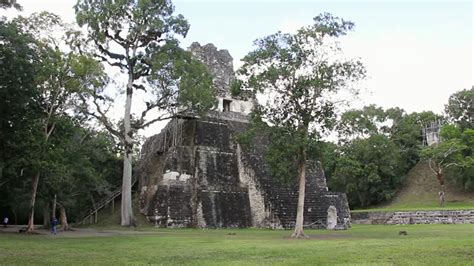 335 Tikal National Park Stock Videos Footage And 4k Video Clips Getty