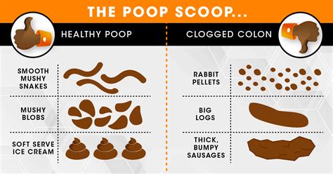 Common Causes Of Thin Stools