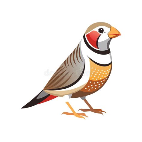 elegant zebra finch bird vector stock illustration illustration of