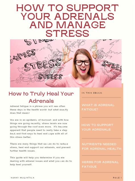 Healing Adrenal Fatigue And Stress Ebook Pdf Stress Biology