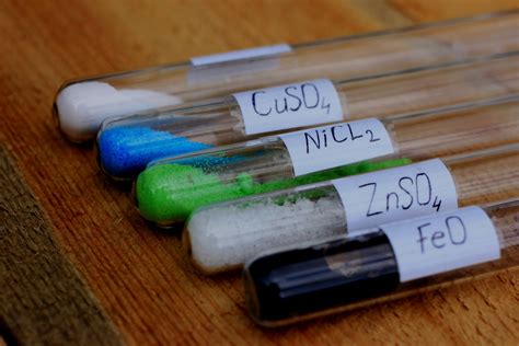 Pricing — Beyond Labz