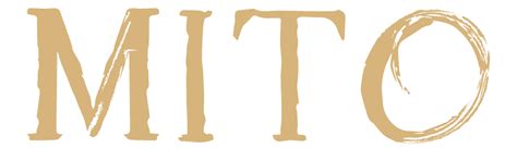 Mito Discover Our Menu