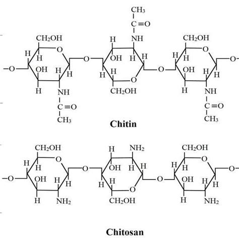 Segments Of Chitin And Chitosan Polymers Chitin Is Represented By