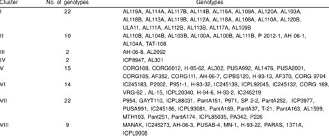 Clustering Pattern Obtained By Ssr Analysis Download Scientific Diagram