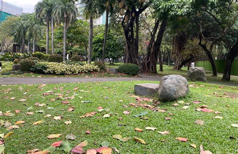 Best Trails Walks And Paths In Makati Alltrails