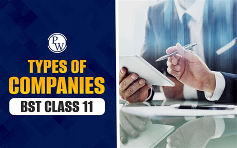 Types Of Companies Bst Class 11