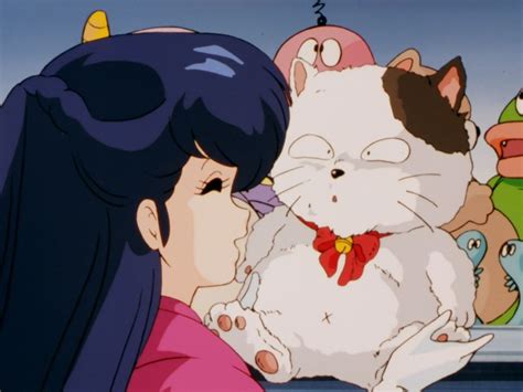 Kotatsu Neko As A Plush Cat Kyoko Is Enjoying That Scrolller