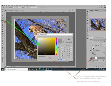 Unable To Use Eyedropper To Select Color For A Can Adobe Community 11779346