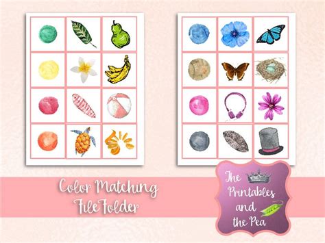 File Folder Games Color Sorting Help Teaching Color Matching Folders Babe Ones