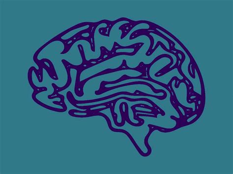 Predicting Academic Outcomes Neuroimaging Provides Novel Insights Bold