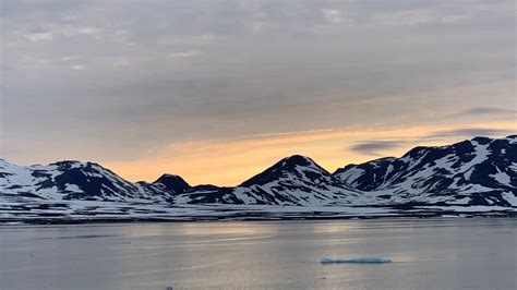 Svalbard Wildlife And Nature Facts In April Embracing Springs Awakening