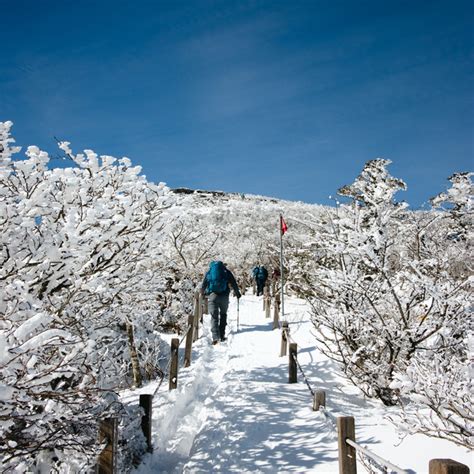 겨울 한라산 백록담 정복하기 가이드오