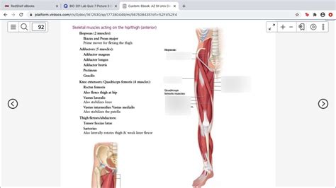 Bio 201 Lab Quiz 7 Picture 4 Diagram Quizlet