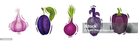 보라색 과일과 야채 와 마늘 매 화 양파 후추 와 아티 초크 벡터 세트 개체 그룹에 대한 스톡 벡터 아트 및 기타 이미지 개체 그룹 건강한 식생활 계절 Istock
