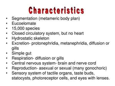 Ppt Annelids Powerpoint Presentation Free Download Id 5489600