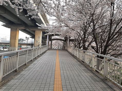 온유랑 2024년 4월 첫째 주일 예배 대표기도문