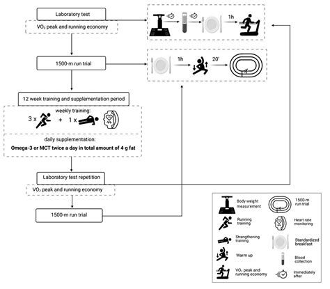 Effects Of 12 Wk Of Omega 3 Fatty Acid Supplementation In Lo