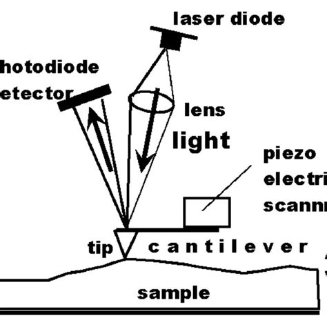 Schematic Layout Of The Main Components In An Atomic Force Microscope Download Scientific Diagram