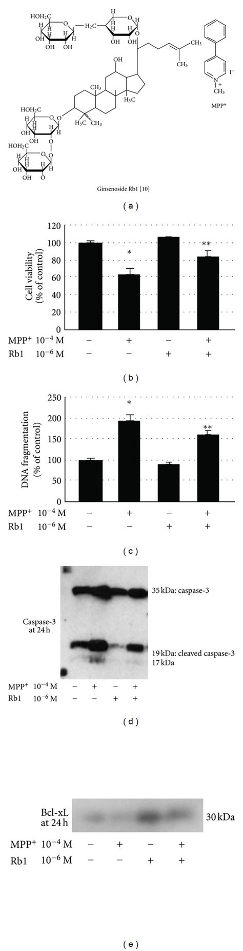 A Structure Of Ginsenoside Rb1 And Mpp B Protective Effects Of