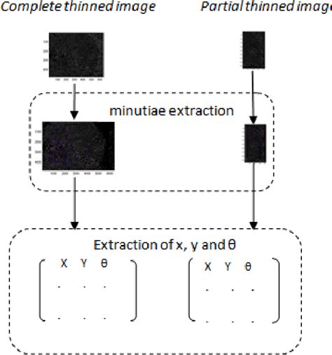 figure 1 from person s identification with partial fingerprint based on