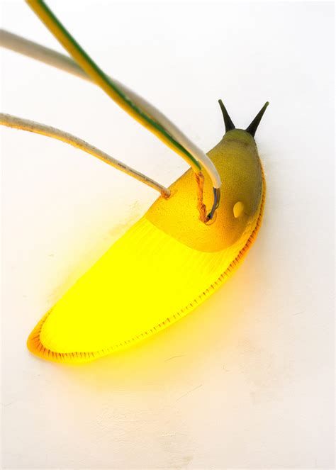 Electric Bug Beast Margriet Van Breevoort