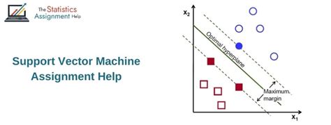support vector machine assignment help homework help
