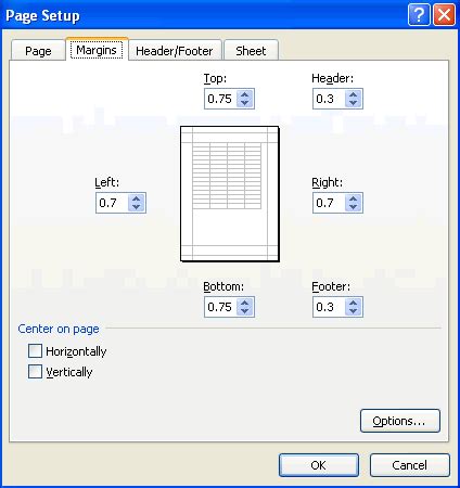 Set Page Margins MS Excel Tutorial