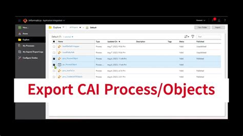 Export And Import Of Cai Processobjects Informatica Iics Cai Youtube