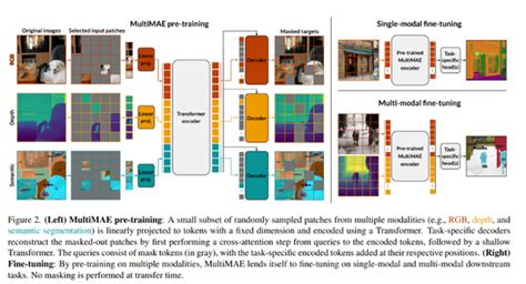 Multi Modal Multi Task Masked Autoencoder：一种简单、灵活且有效的 Vit 预训练策略 知乎