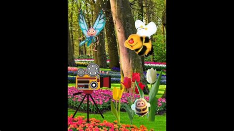 Бал весняних квітів заняття з ознайомлення з навколишнім для дітей середнього дошкільного віку