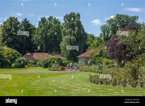 Greenhouse Palace Garden Oldenburg Lower Saxony Germany Europe
