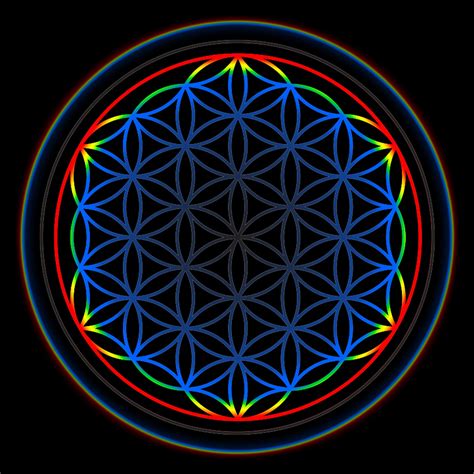 Flower Of Life Free Stock Photo - Public Domain Pictures
