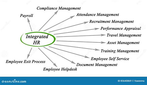 Diagram Of Integrated Hr Stock Illustration Illustration Of Asset